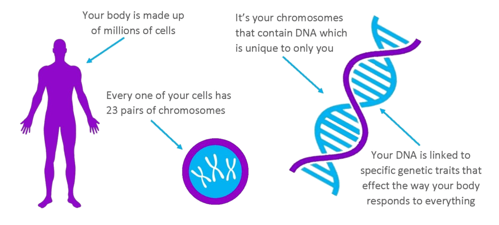 StrongDNA® – Unlock the power of your genetic code