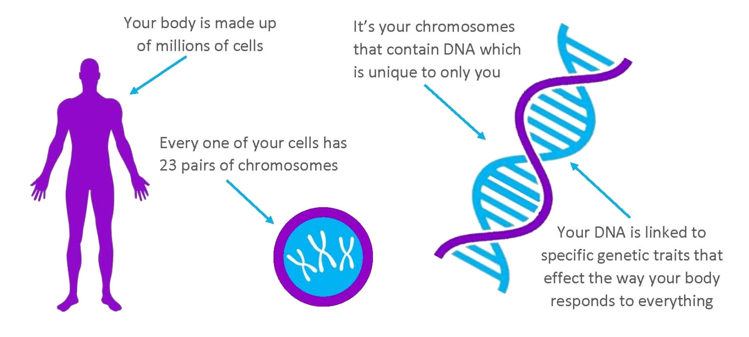 StrongDNA® – Unlock the power of your genetic code